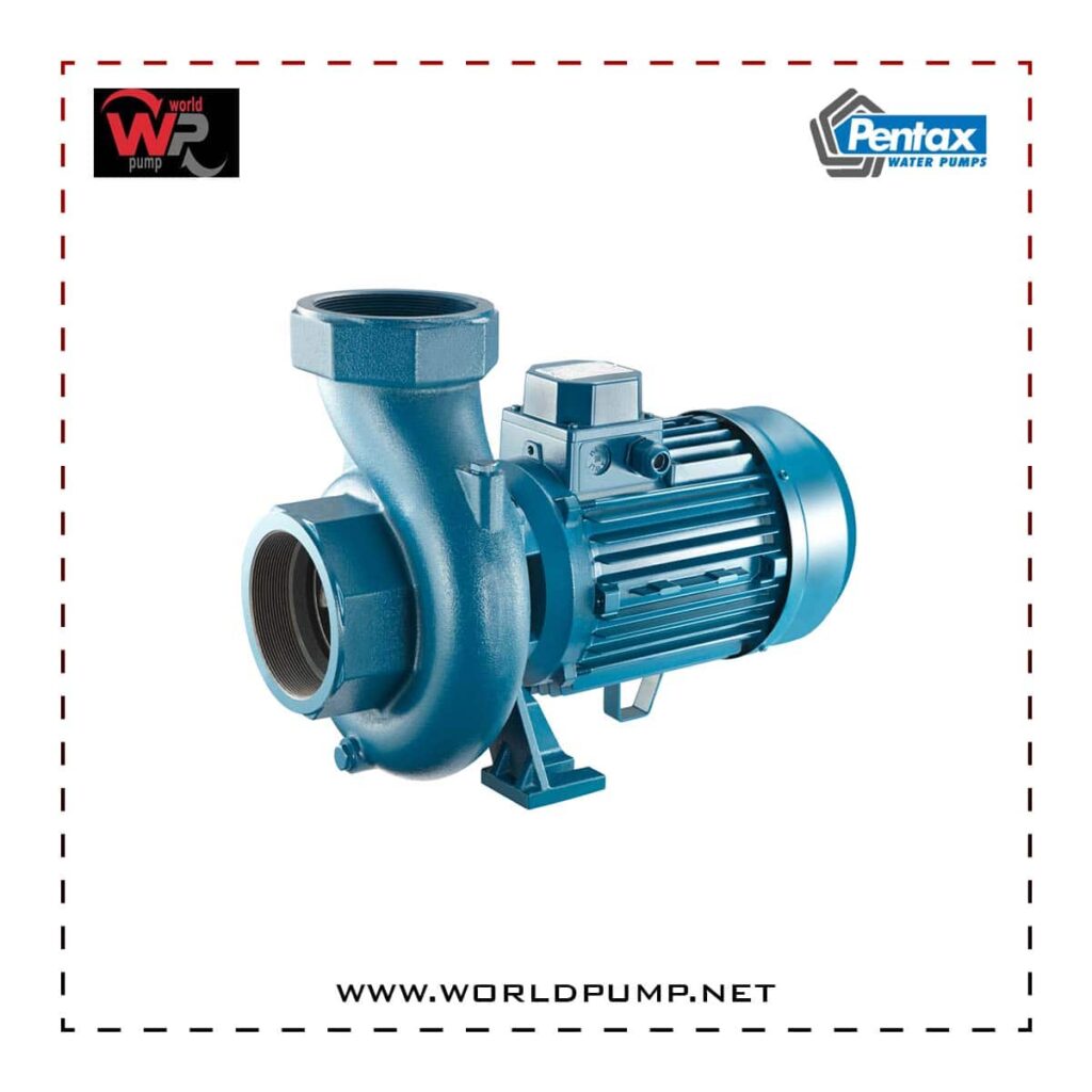 Ebara LPS 40/25 flood kit - world pump store