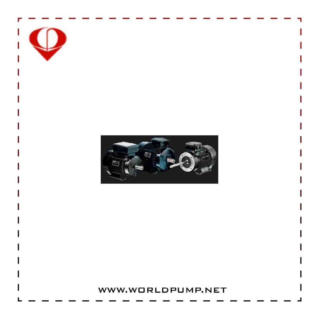 Types of AEG electric motors - world pump store