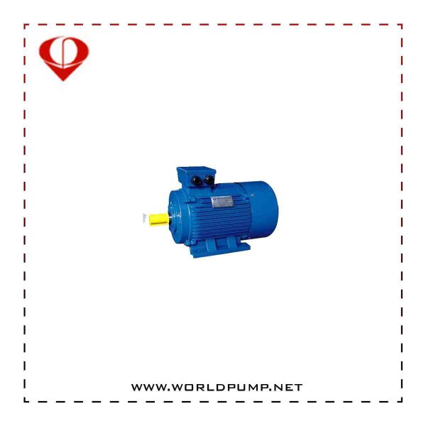 Types of PEM series electric motors of PARAGON company - world pump store