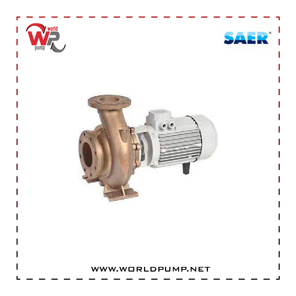SAER IR4P centrifugal electropumps - world pump store